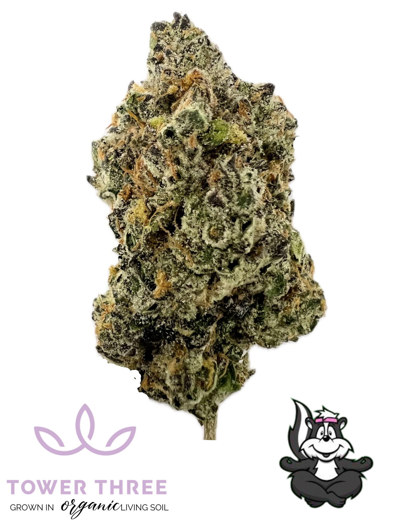 Best weed strains by Tower Three