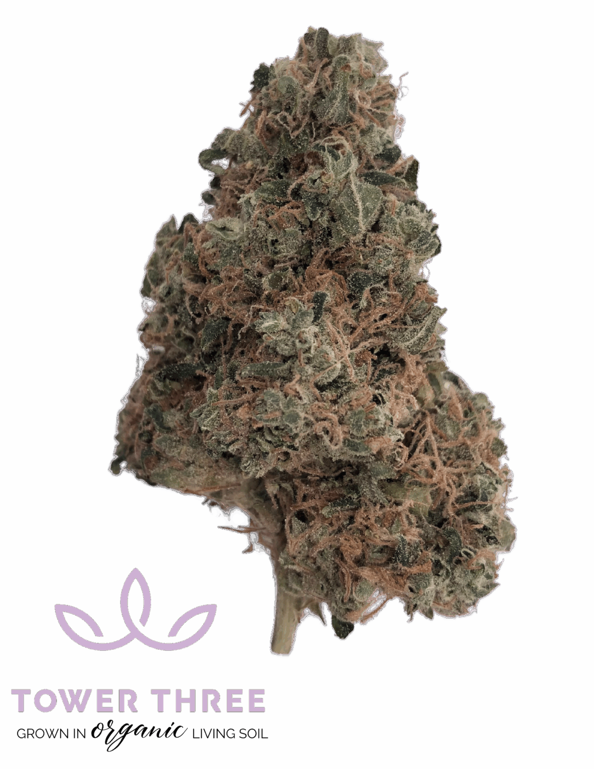 Best weed strains by Tower Three